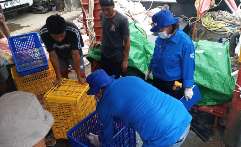 KKP Pastikan Penerapan CPIB di Kapal Perikanan - Gatranews.id